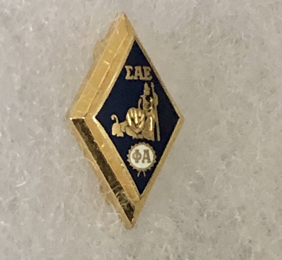 Vintage Sigma Alpha Epsilon Fraternity Pin Gold Pledge Lapel Pin | eBay