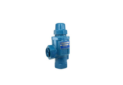 Blackmer BV-034 95# 3/4" NPT By-Pass Valve 95 PSI Propane LP Natural ...