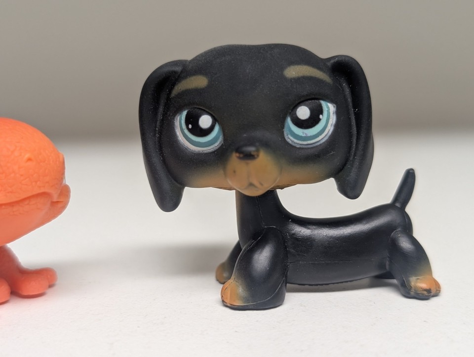 DACHSHUND DOG #325 Black Littlest Pet Shop Hasbro LPS Gecko Real Feel ...