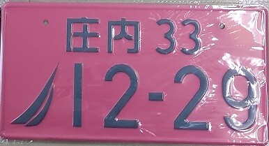 Multi Colors JDM License Plate Nautica Tablilla Corta Sola PR | eBay