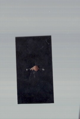 One Bronze Oak Leaf device attachment 5/16 inch size | eBay