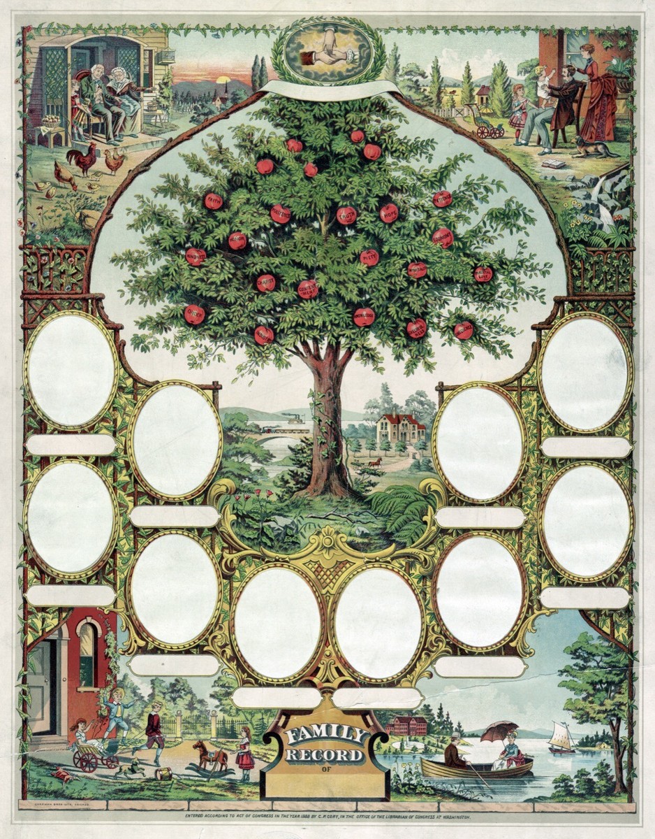 Family Tree Designs Family Tree A4 Print – Amy's Craft Emporium