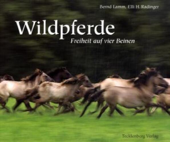 Wildpferde | Freiheit auf vier Beinen | Bernd Lamm (u. a.) | Buch | C ...
