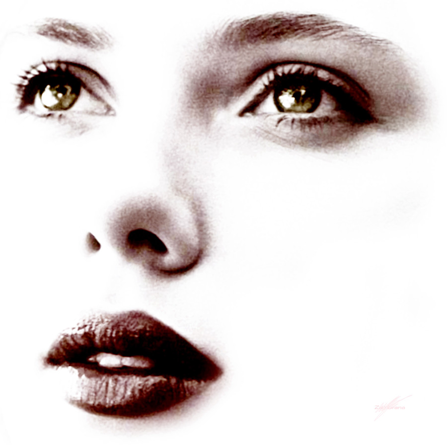 Visage Collection - Scarlett Johansson - Unspoken - 24" x 24" Canvas ...
