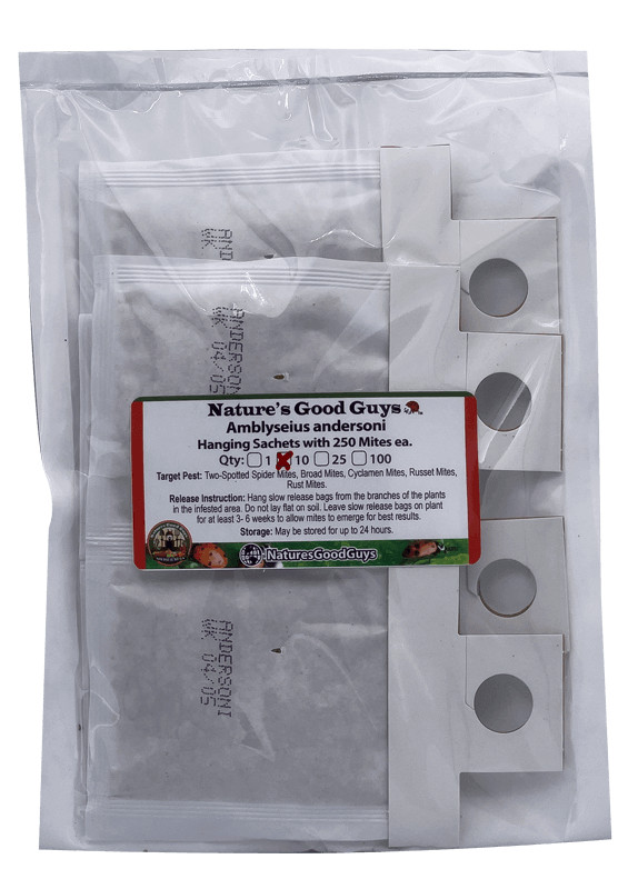 Slow Release Sachets - Amblyseius andersoni - Predatory Spider Mite ...
