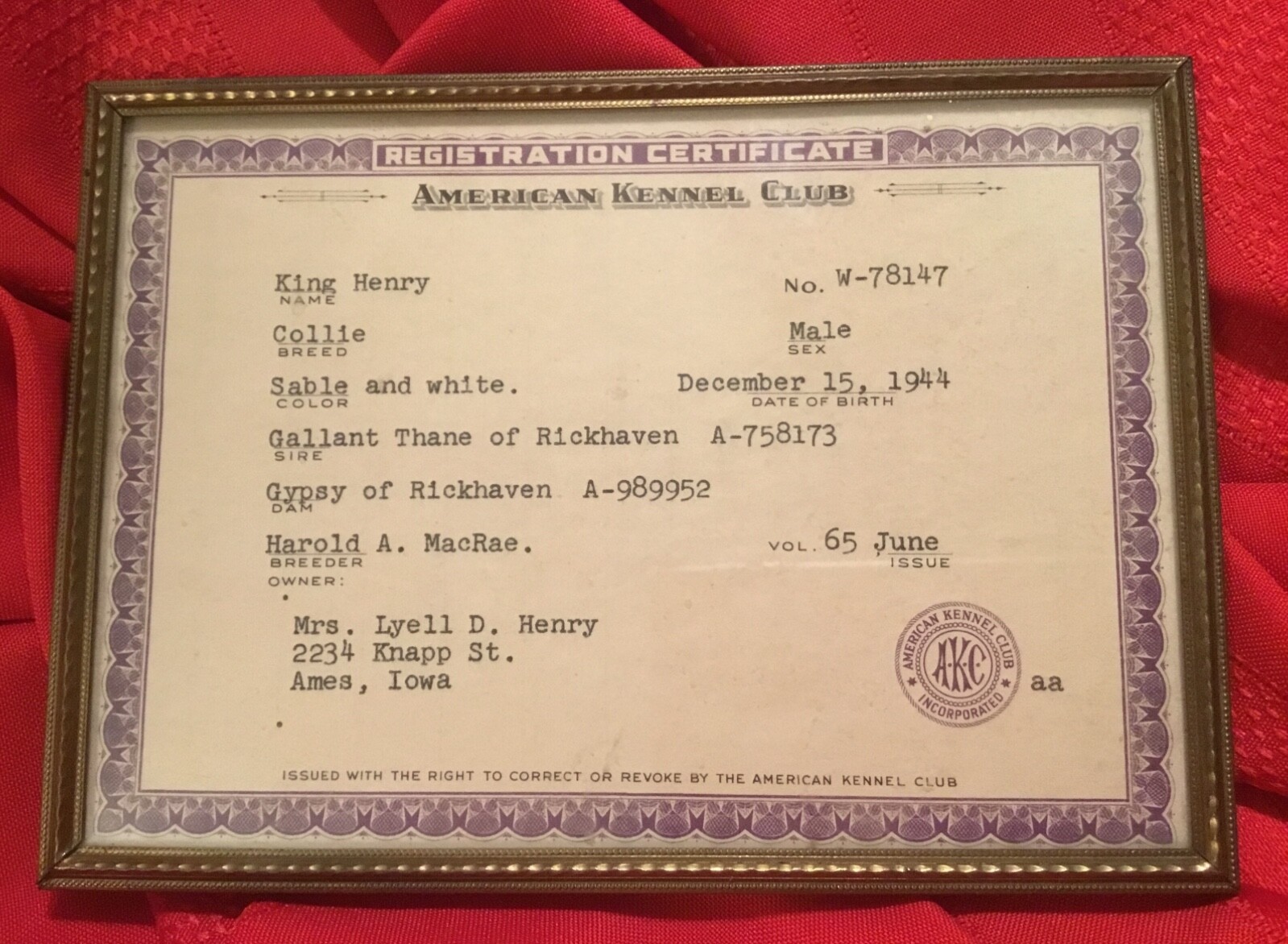 1944 Or 1965 AKC American Kennel Club Collie Registration Certificate
