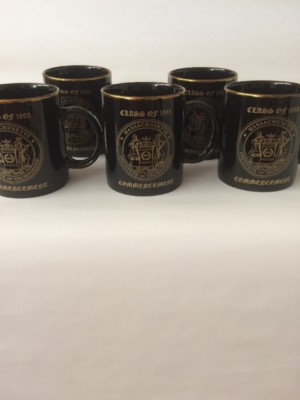 Massachusetts Institute of Technology (M.I.T.) Class Of 1993 ...