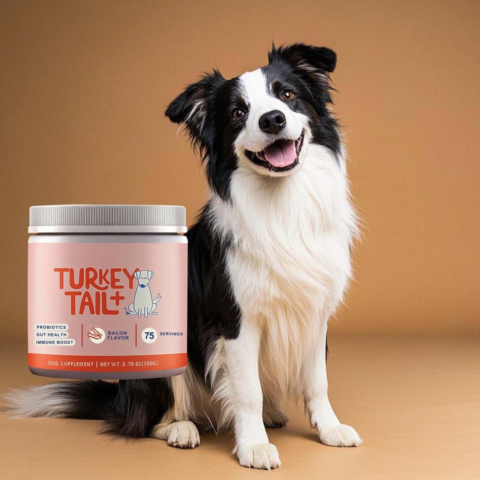 Turkey Tail Mushroom+Probiotics for Dogs–Lump&Lipoma Support,Gut ...
