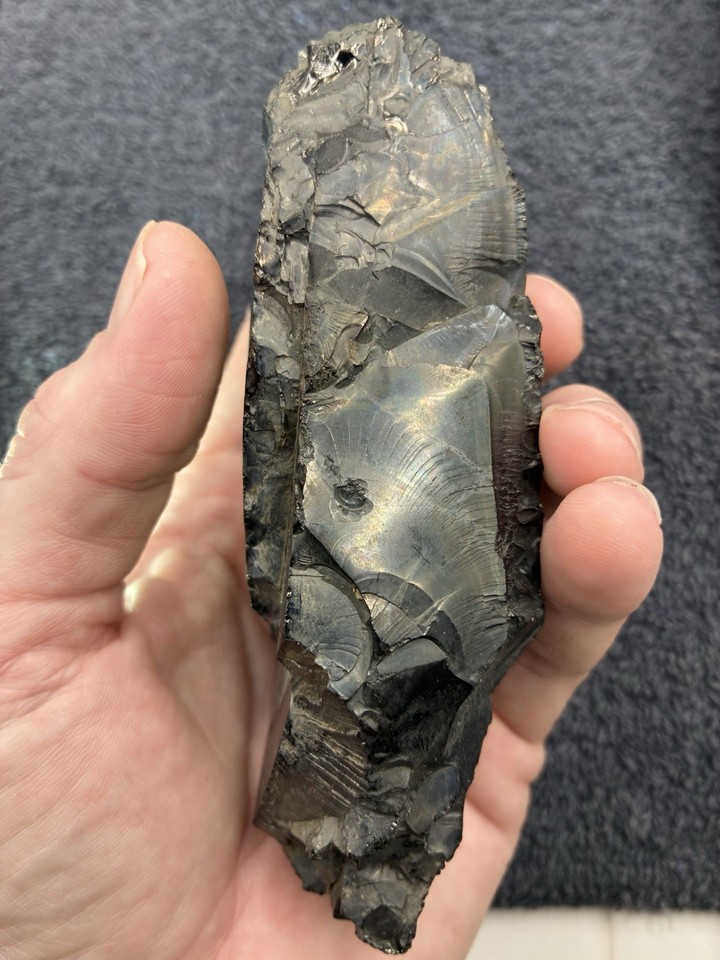 Elite Noble Shungite 239.12g Russia Raw Healing Stone EMF Protection ...