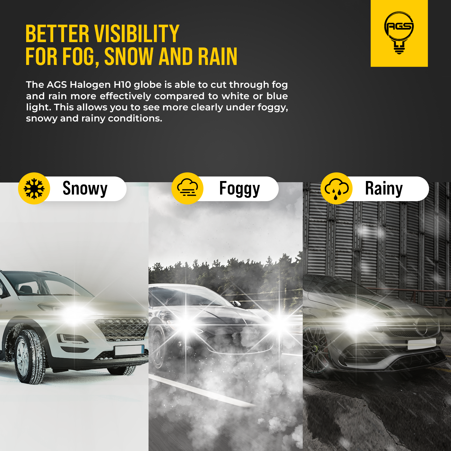 2X AGS Halogen H10 Globe for Ford Ranger PJ Ute 2006 2007 | eBay