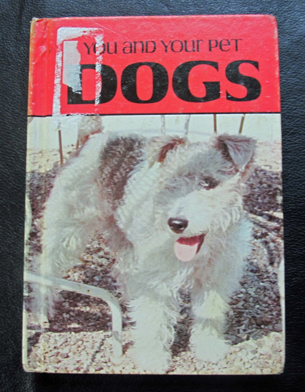 You And Your Pet : Dogs ~ Phil Steinberg ~ Lerner Publications ~ Ex ...