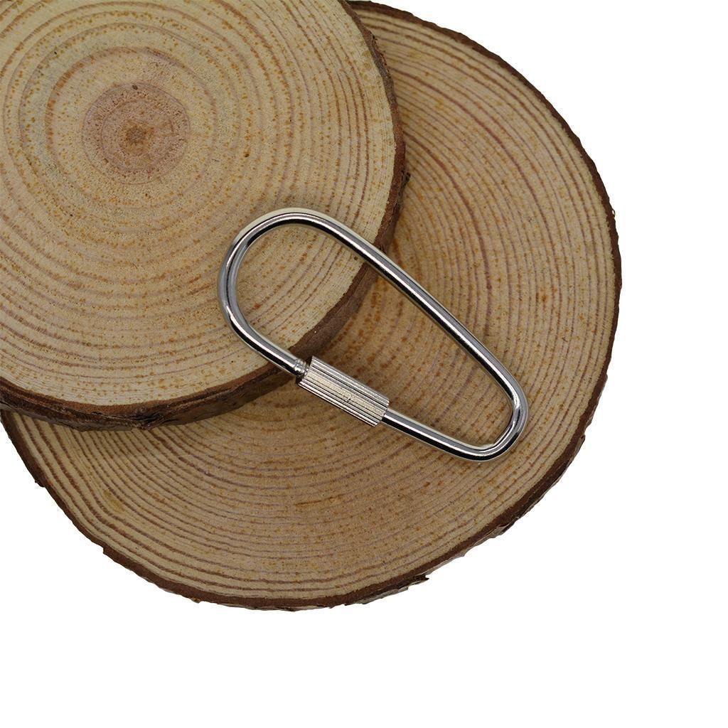 Pack of 10 Locking Carabiner Keychain, Stainless Steel D- Carabiner for ...