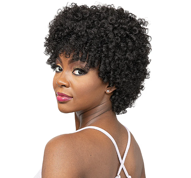 Janet Collection Natural Curly Premium Synthetic Fiber Wig - AFRO FIBY ...
