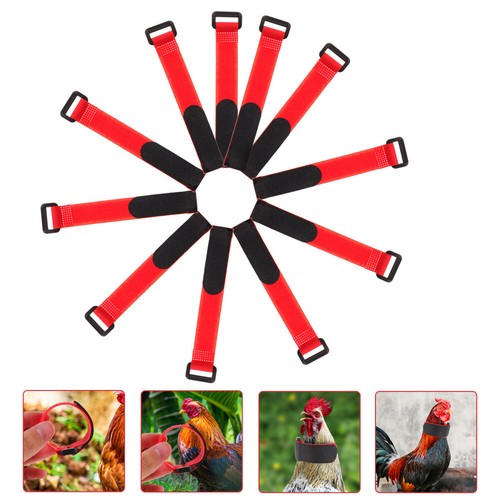 10pcs Reusable Creative Practical Convenient Multi-use Chicken Collars ...