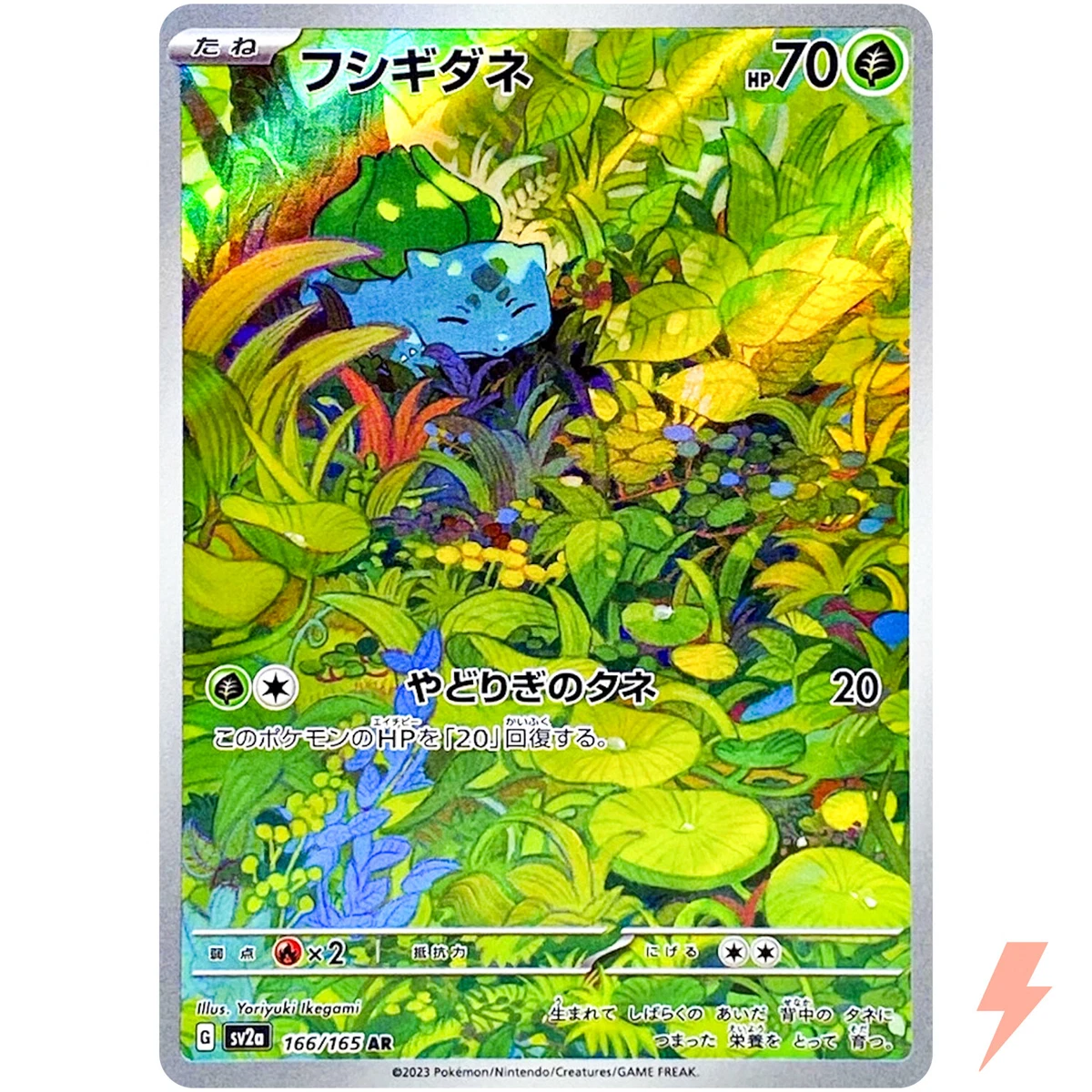 Bulbasaur Card