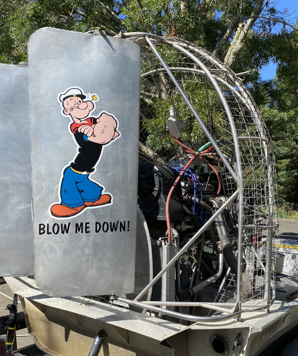 POPEYE KIDS CARTOON DECAL USA STICKER CAR TRUCK WINDOW BUMPER LAPTOP ...