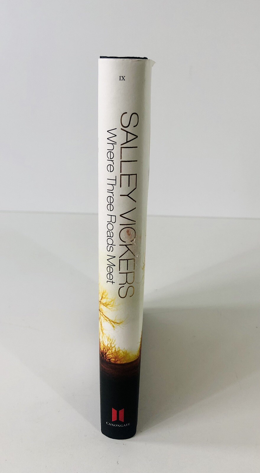 Where+Three+Roads+Meet+by+Salley+Vickers+%28Hardcover%2C+2007%29 for ...