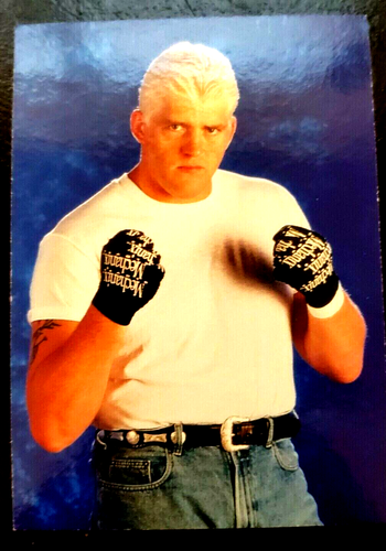 Dustin Runnels 1998 DuoCards WWF #29 | eBay