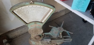 Scales - Standard Computing Scale