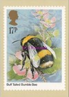 Animals Postcard - Buff Tailed Bumble Bee, PHQ Stamp Design RR20756 | eBay