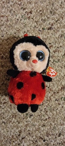 Rare TY BEANIE BABY BOO BUGSY LADYBUG 6" w tag | eBay