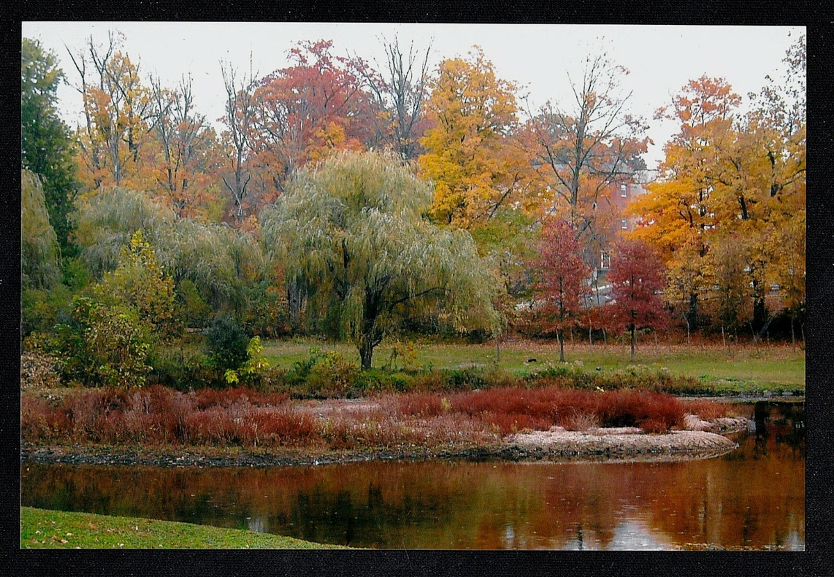 Beautiful Fall Country Scenery
