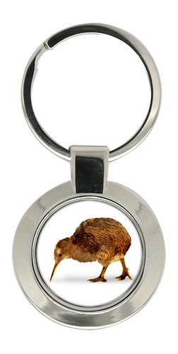 Kiwi Key Ring | eBay UK