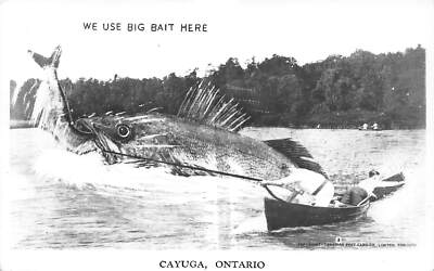 CAYUGA Ontario Canada postcard RPPC Haldimand County exaggerated fish ...