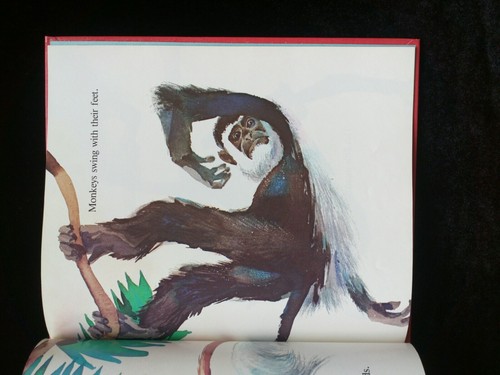 Now I Know Monkeys Illustrated Book by Patricia Whitehead (1982 ...