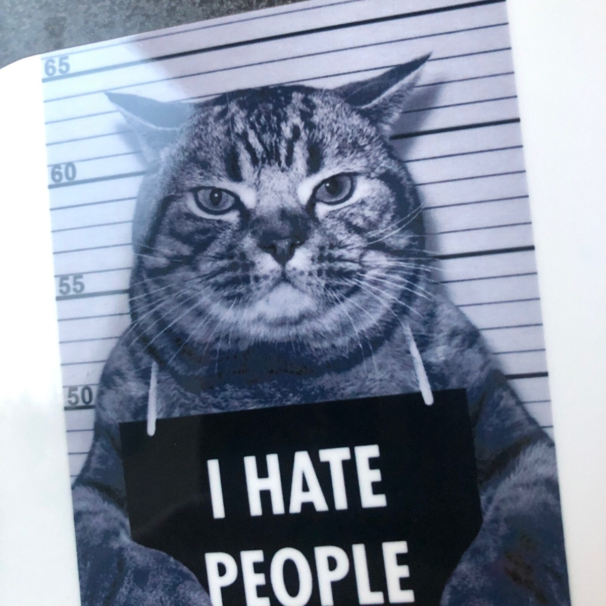 I Hate People Cat