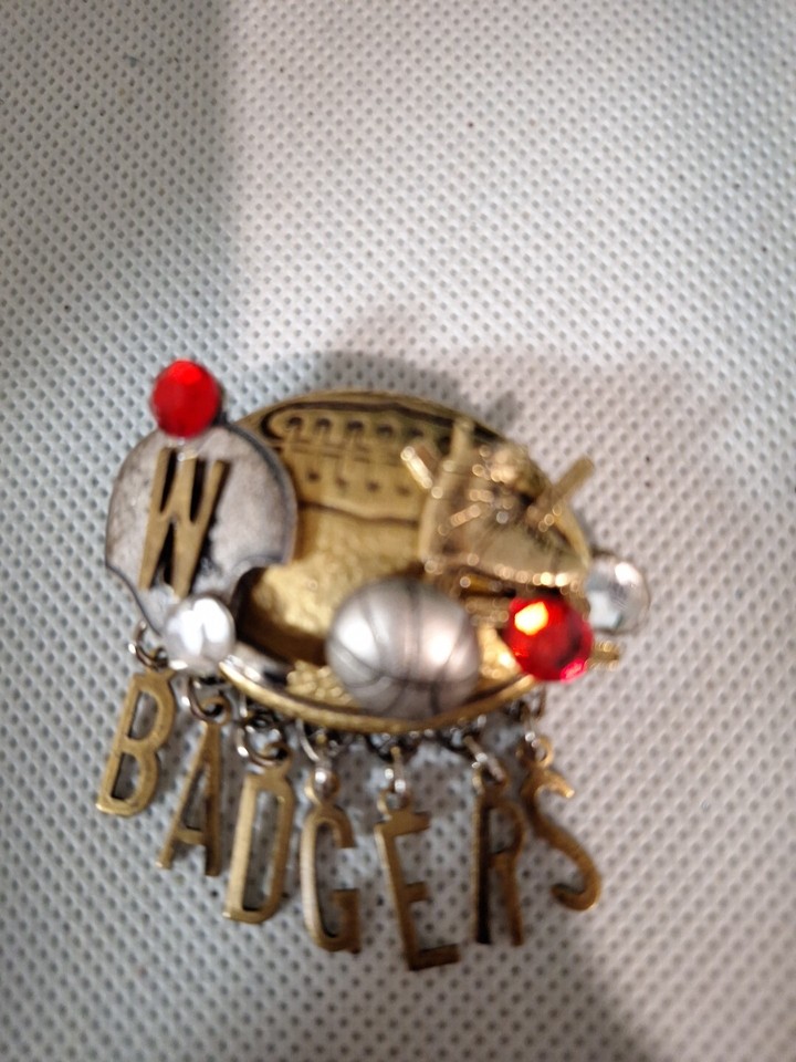 Wisconsin Badger Pin | eBay