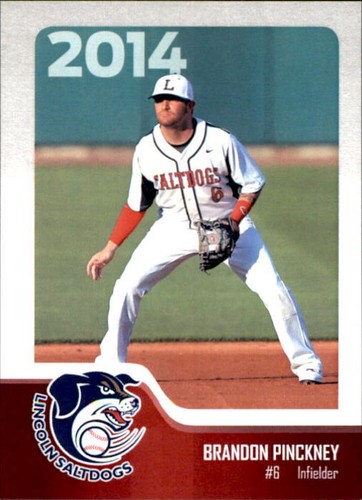 2014 Lincoln Saltdogs Team Issue #22 Brandon Pinckney Sacramento ...