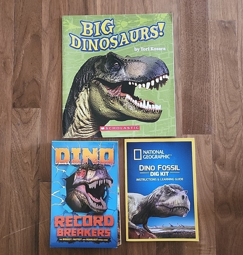 Lot Of 3 Books Dinosaur Books - Big Dinosaurs, Dino Record Breakers ...