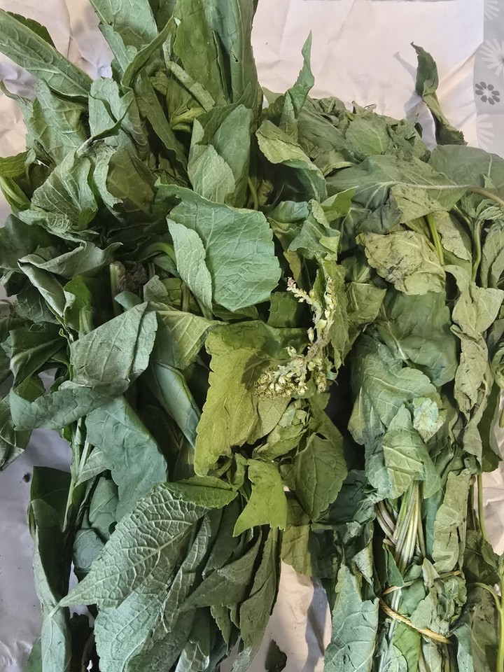 FRESH SCENT LEAVES - 3 Ties £15 Nchanwu, Efirin. No Return | eBay UK