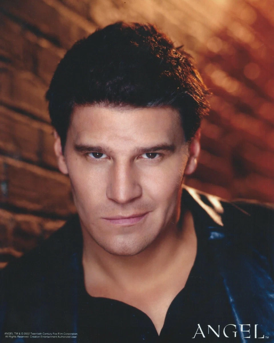 David Boreanaz Vampire Face