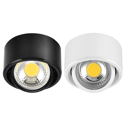 LED COB Ceiling Light Fixture Adjustable Picture Spotlight Lamp ...
