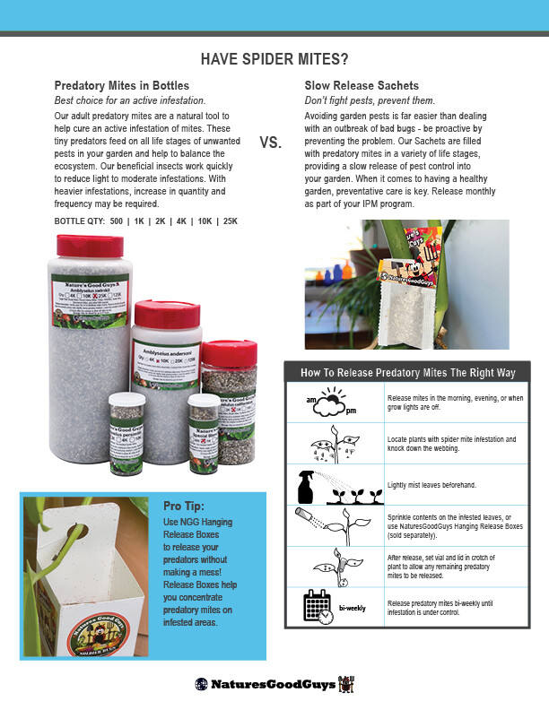 Slow Release Sachets - Amblyseius cucumeris - Predatory Spider Mite ...