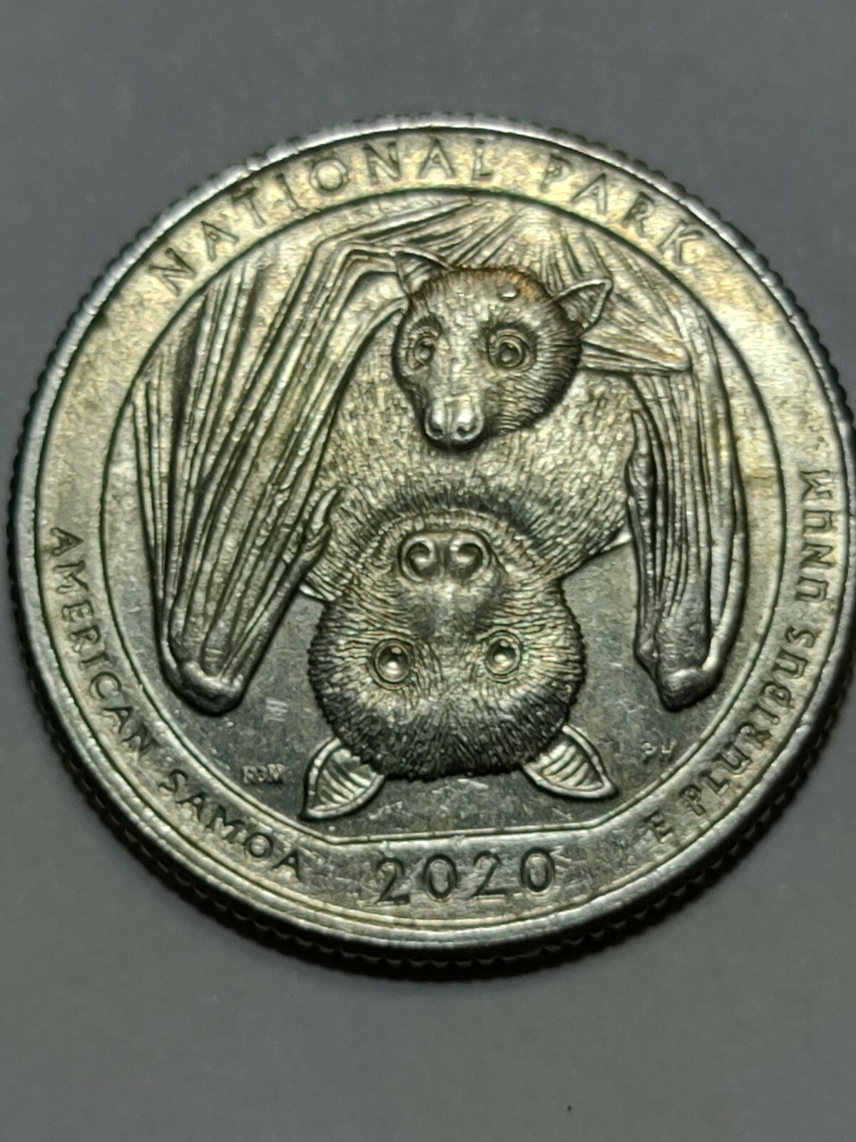 🔥 2020 P Samoa Quarter - Rare Bat Error Die Chip CUD! DDO & DDR | eBay