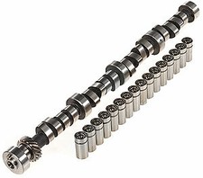 Small Block Mopar Purple Shaft Hydraulic Camshaft* P4452992 .474 Lift ...