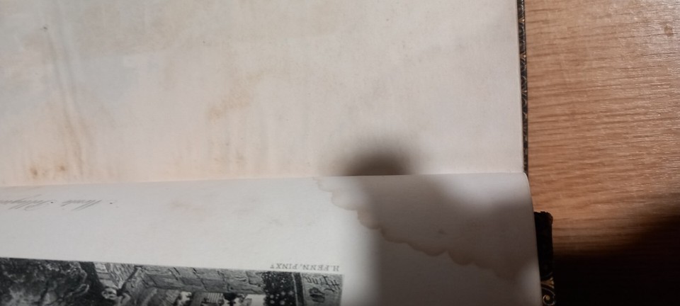 Picturesque Europe: Vol III 1879. Appleton & Co. Gilt-edged pages ...