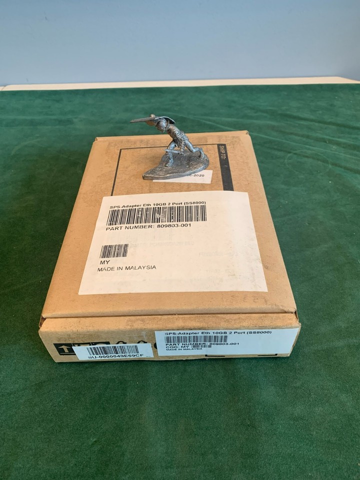 HP 809803-001 / E7Y70A - SPS-Adapter Eth 10Gb 2 Port (SS8000) | eBay