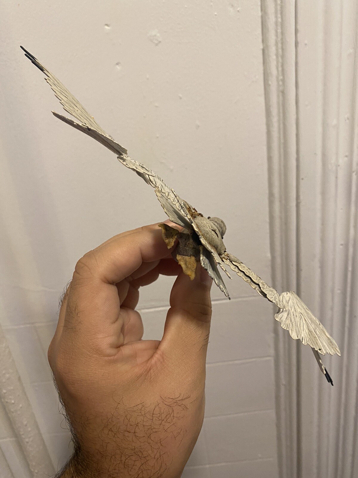 Rare James And The Giant Peach Stop Motion Puppet Seagull Movie Prop ...