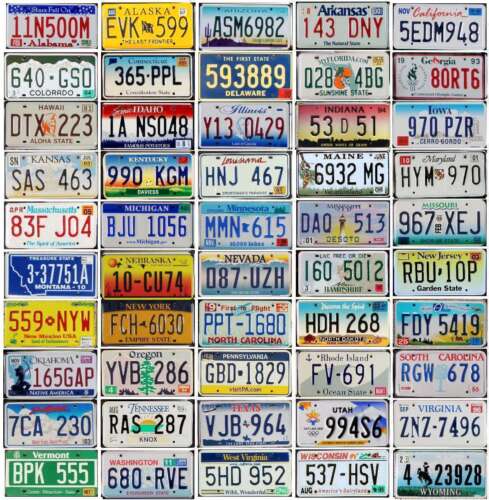 ALL 50 United States LICENSE PLATES - PREMIUM LOT TAGS - Colorful ...