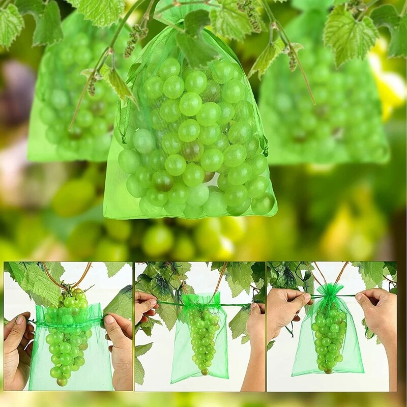 100 PCS Grape Protectors Fruit Mesh Bag Protector with Drawstring Green ...