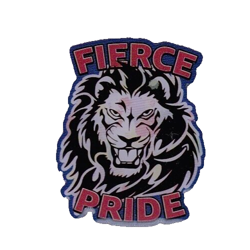 Amazon PECCY Fierce Pride Employee Pin | eBay