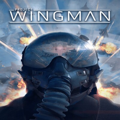 Project Wingman PC STEAM Online Digital Global (No Key) (Read Desc) | eBay