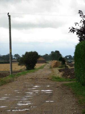 Photo 6x4 Common Lane Saxlingham Public Footpath and track to Eastmore ...