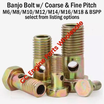 Banjo Bolt M6/M8/M10/M12/M14/M16/M18 Metric Thread BSPP BSP G Fine ...