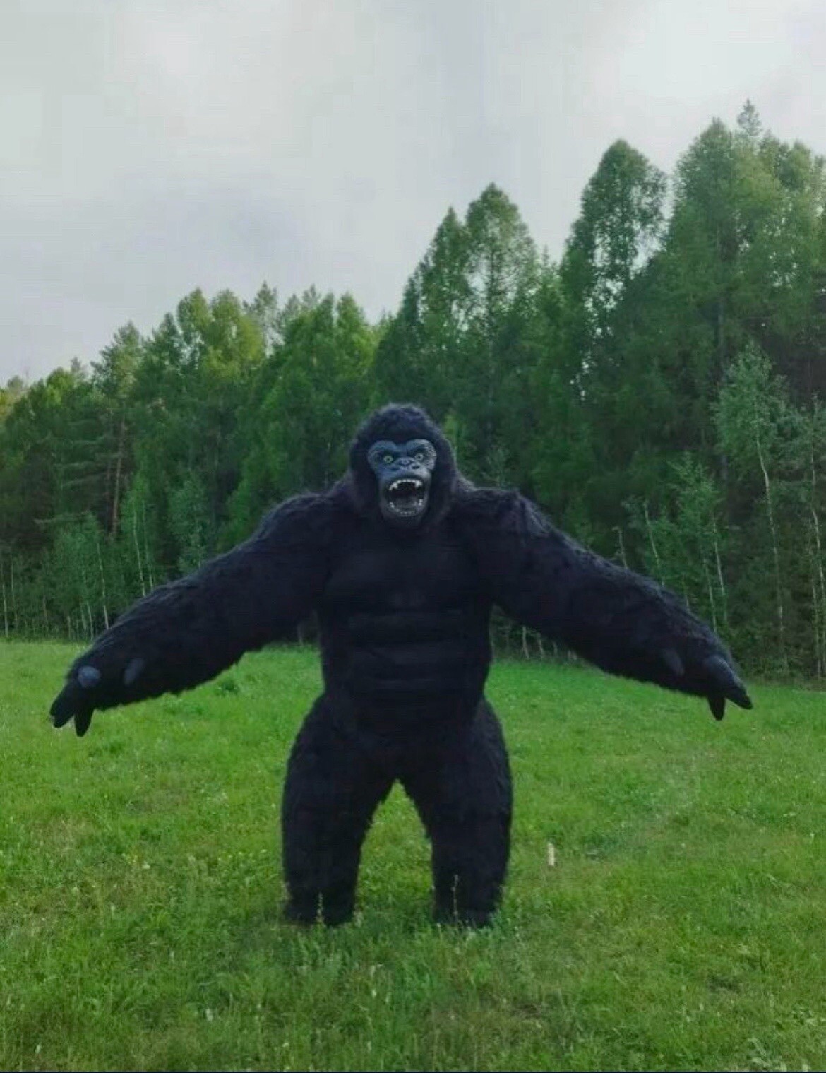 Inflatable Gorilla Costume GIANT 10ft Tall Chub Suit … - Gem