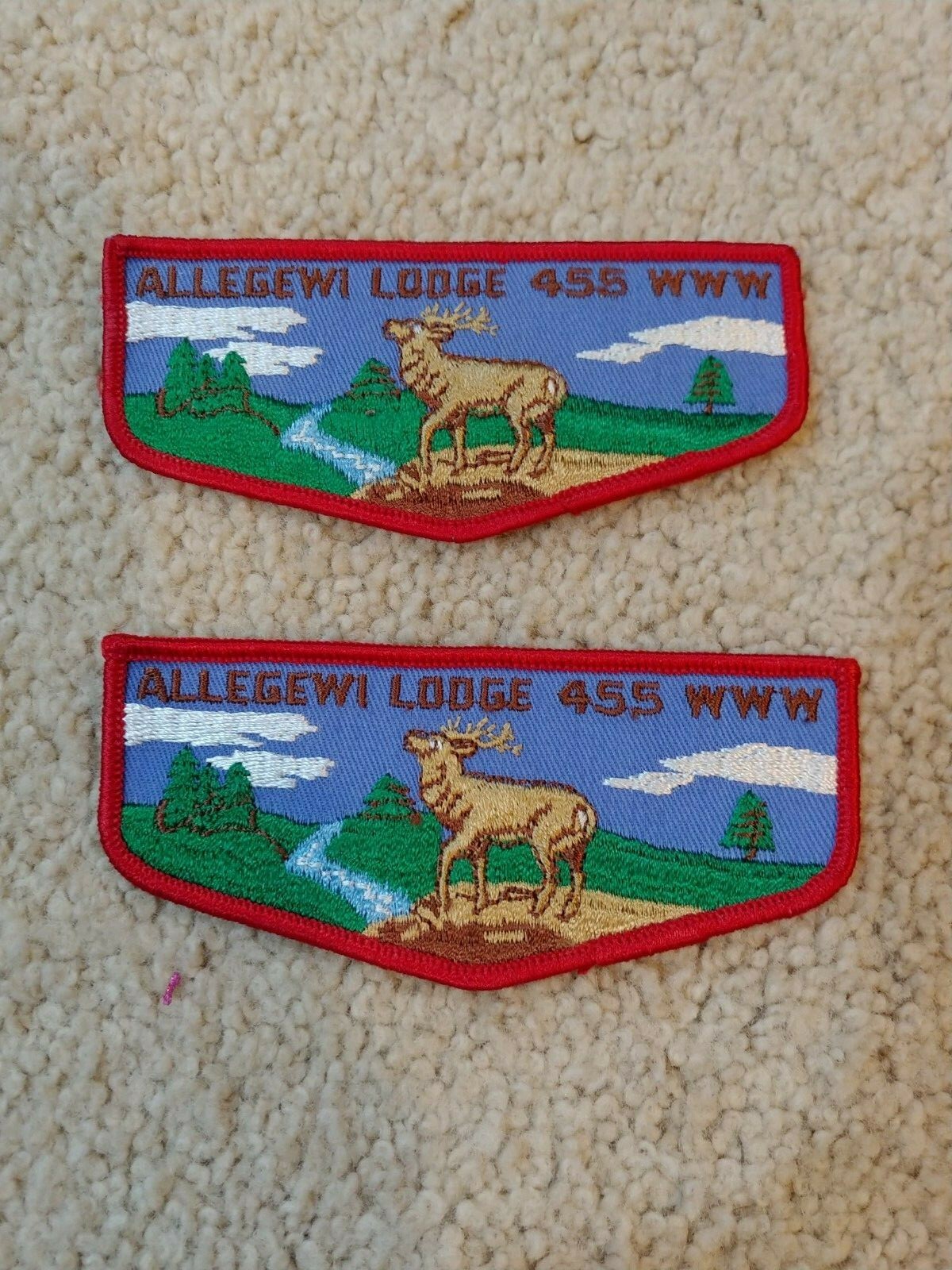 Lodge 455 Allegewi OA Flap Order of the Arrow Boy Scouts BSA | eBay